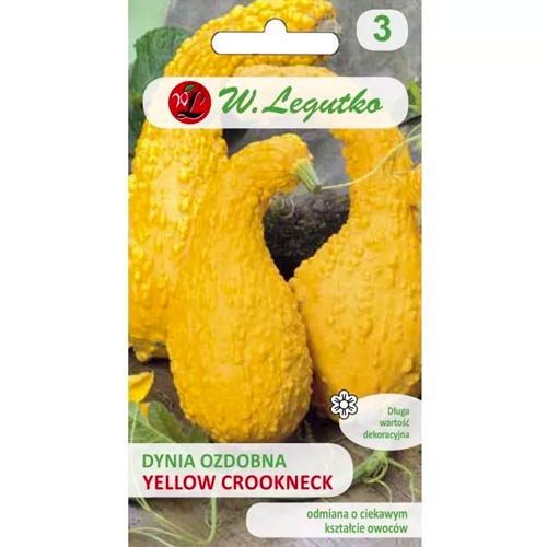 Kupite sjemena bundeva ukrasna yellow croockneck (96739): u Gradinamax ...