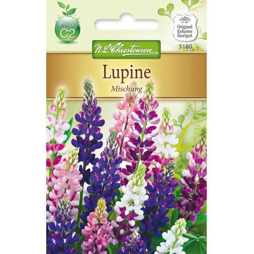 Kupite sjemena lupin, mix multicolor (78921): u Gradinamax trgovini