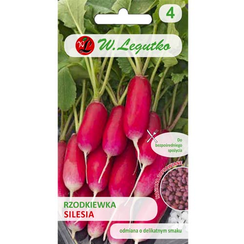 Kupite sjemena šleska crvena rotkvica (50140): u Gradinamax trgovini